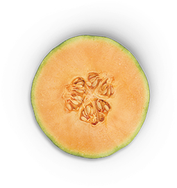 Sol Melons 1039
