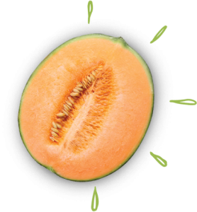 Our Melons Sol Melons 8706