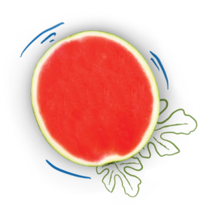 Our Melons – Sol Melons